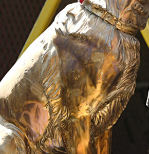 Honoring Heroes: The Artistic Triumph Behind the War Dog Memorial